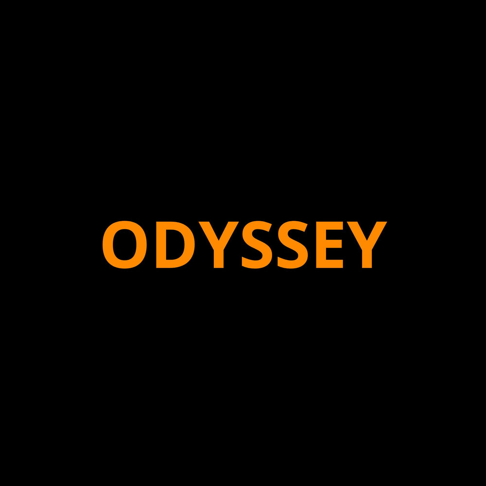 Honda Odyssey Screen Protector Kit – Screen ProTech
