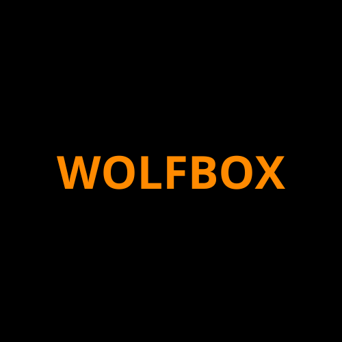 Wolfbox Screen Protector Kit – Screen ProTech