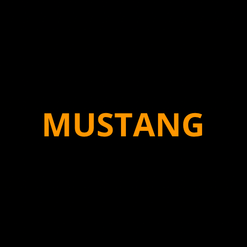 Ford Mustang Screen Protector Kit – Screen ProTech